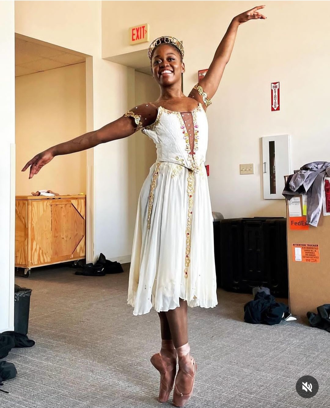 Star ballerina Michaela de Prince dies suddenly at the age of 29 ...